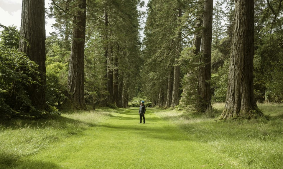 Things to do on the Isle of Dunoon | CalMac Itineraries | Caledonian ...